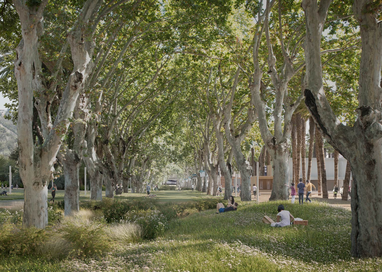 GreenterFaz - Eduardo Rojas Arquitectura